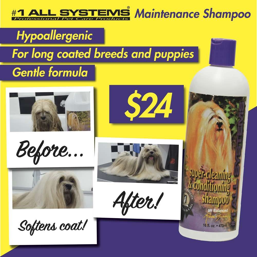 #1 All Systems Super Cleaning & Conditioning Pet Shampoo | Kohepets