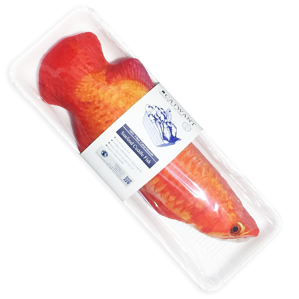 CatWant Jumbo Red Dragon Fish Cuddle Cat Toy | Kohepets