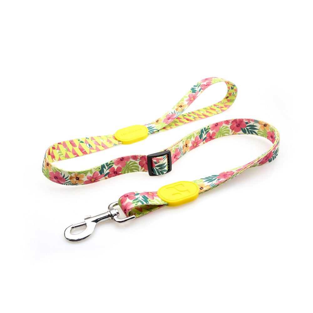 HiDream Profusion Adjustable Dog Leash (Flower) | Kohepets