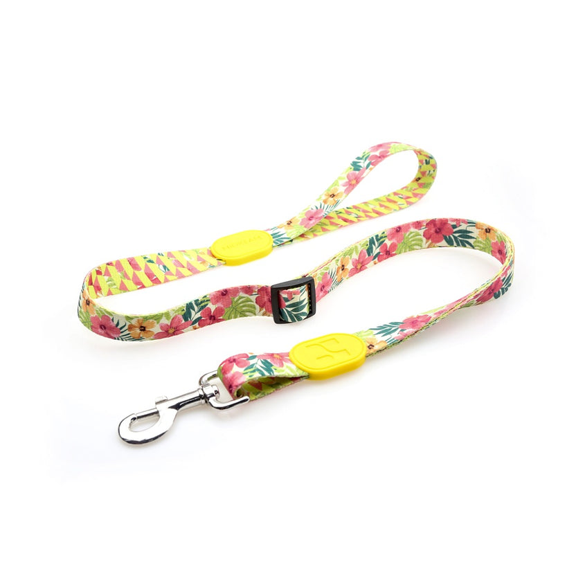 HiDream Profusion Adjustable Dog Leash (Flower) | Kohepets