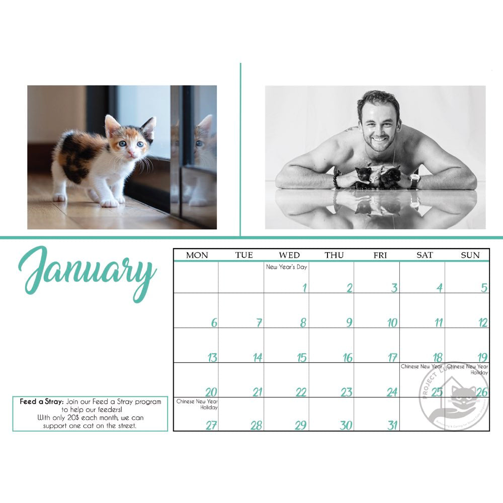 Project Luni Kitten Calendar 2020 | Kohepets