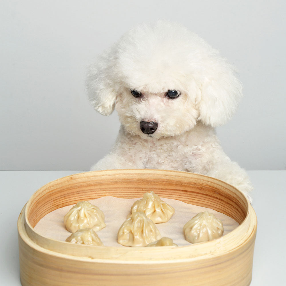 BossiPaws Dim Sum Xiao Long Bao Chicken Grain-Free Frozen Dog Treats ...