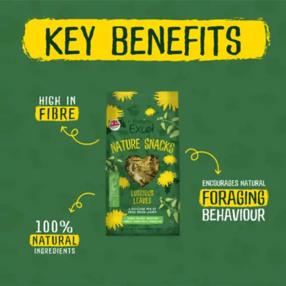 Burgess Excel Nature Snacks Luscious Leaves Treats For Small Animals ...