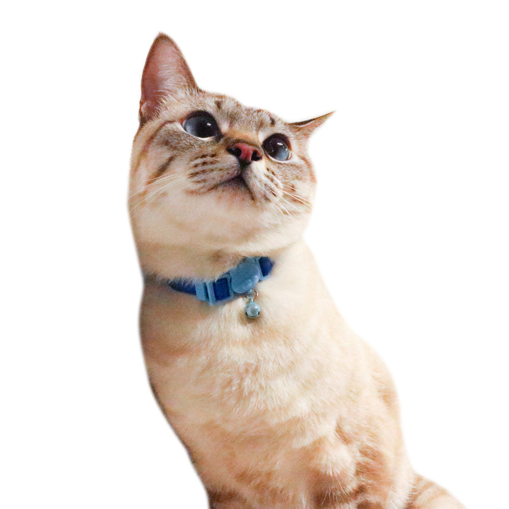 CattyMan Le Collier Luxe Cat Collar (Dark Blue) | Kohepets