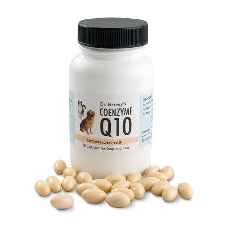 Dr Harvey's Coenzyme Q10 For Dogs | Kohepets