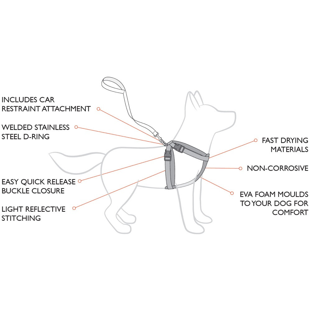 EzyDog Chest Plate Harness - Large | Kohepets