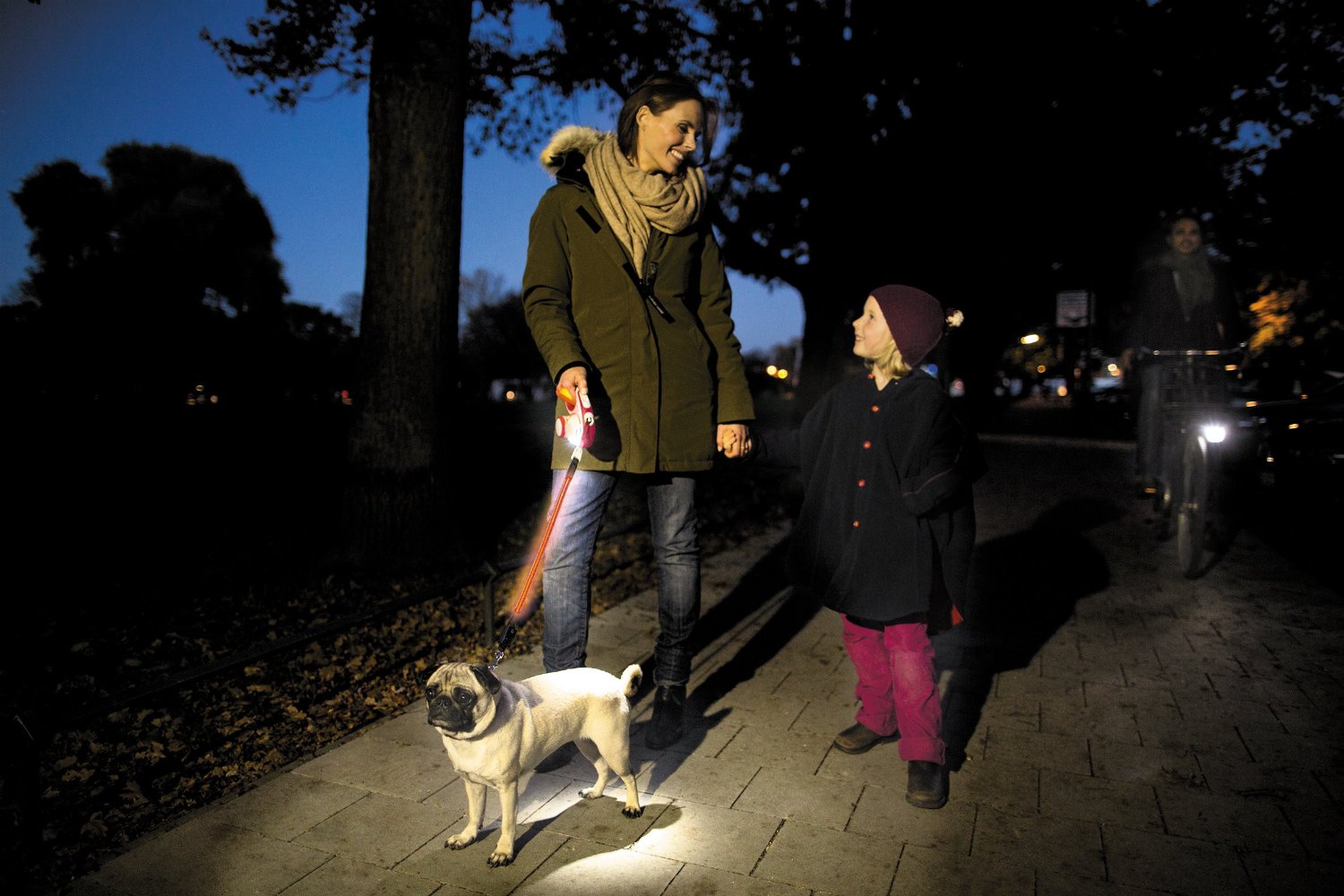 Flexi Vario LED Flash Belt | Kohepets