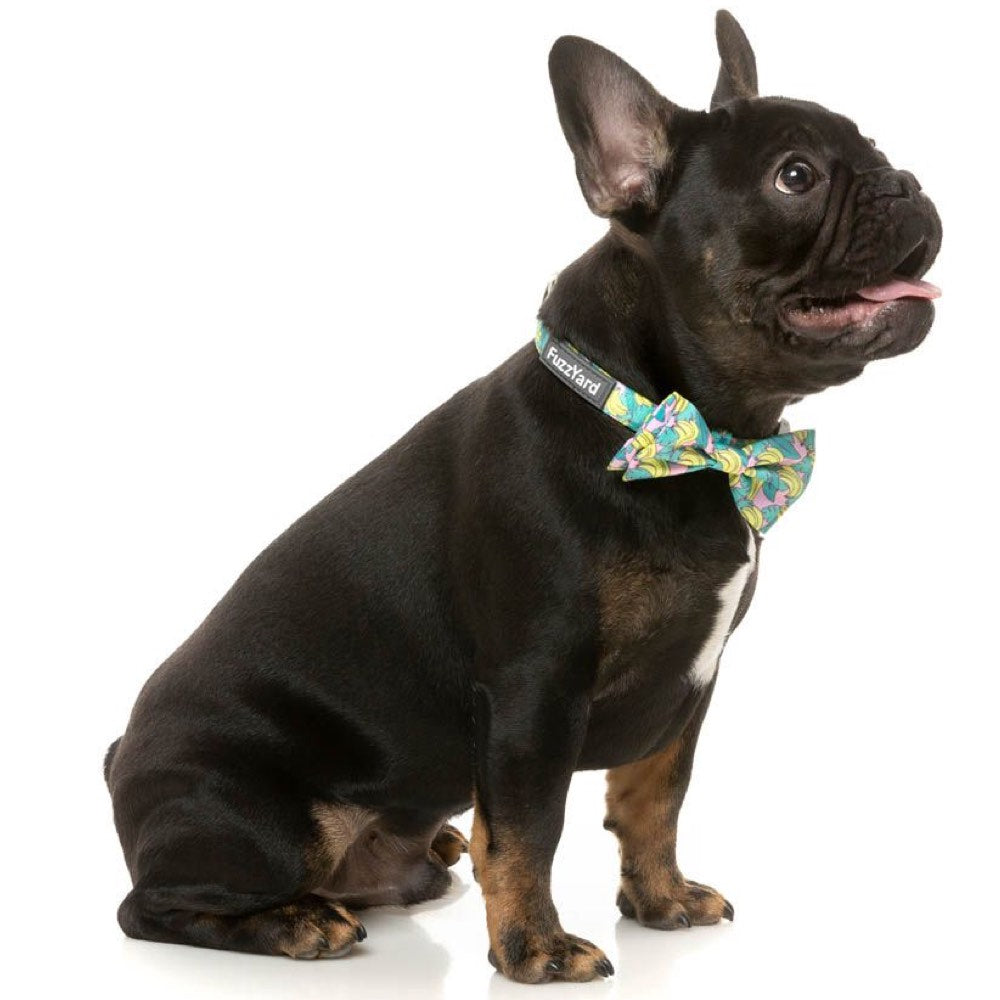 FuzzYard Bowtie For Cats & Dogs (Bananarama) | Kohepets