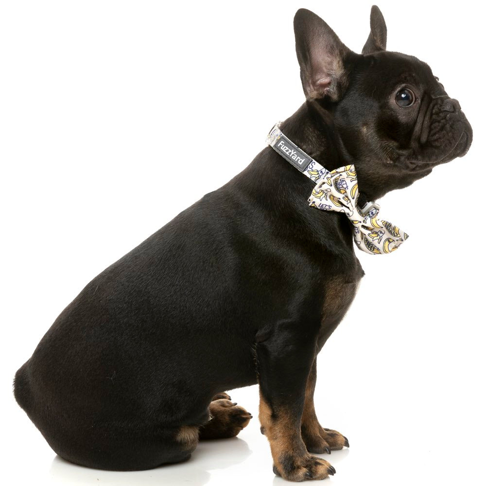 FuzzYard Bowtie For Cats & Dogs (Go Bananas) | Kohepets