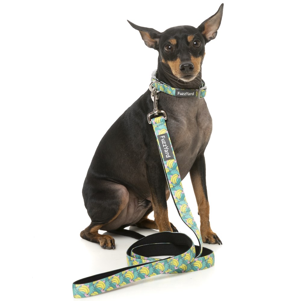 FuzzYard Dog Leash (Bananarama) | Kohepets