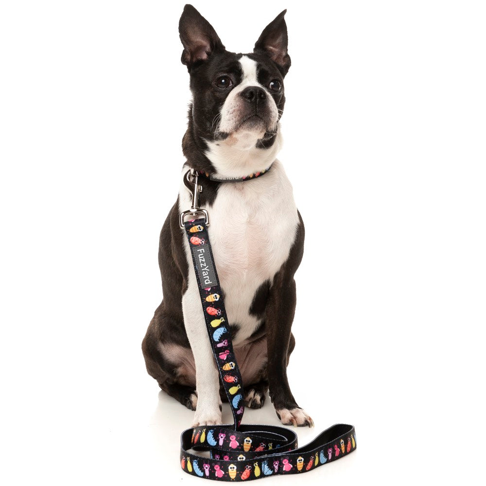 FuzzYard Dog Leash (Bed Bugs) | Kohepets