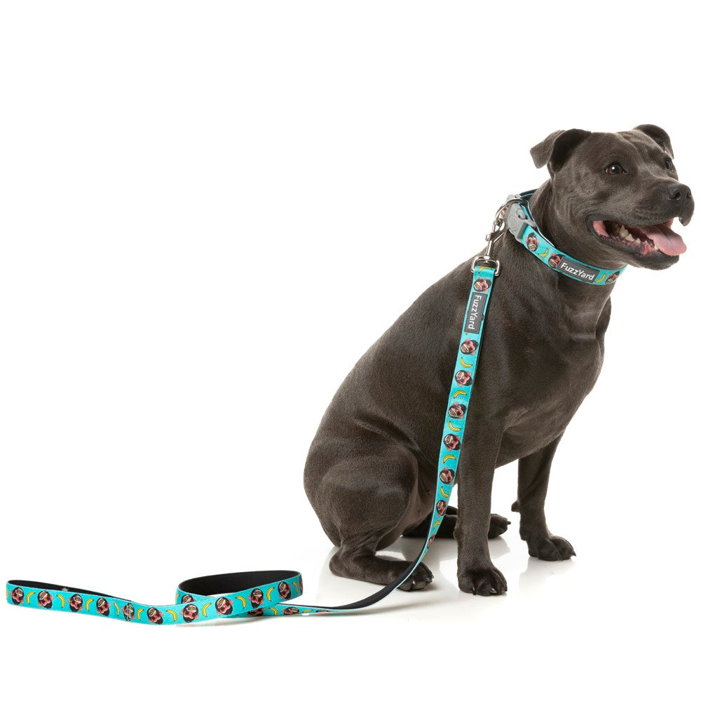 FuzzYard Dog Leash (Gor-illz) | Kohepets