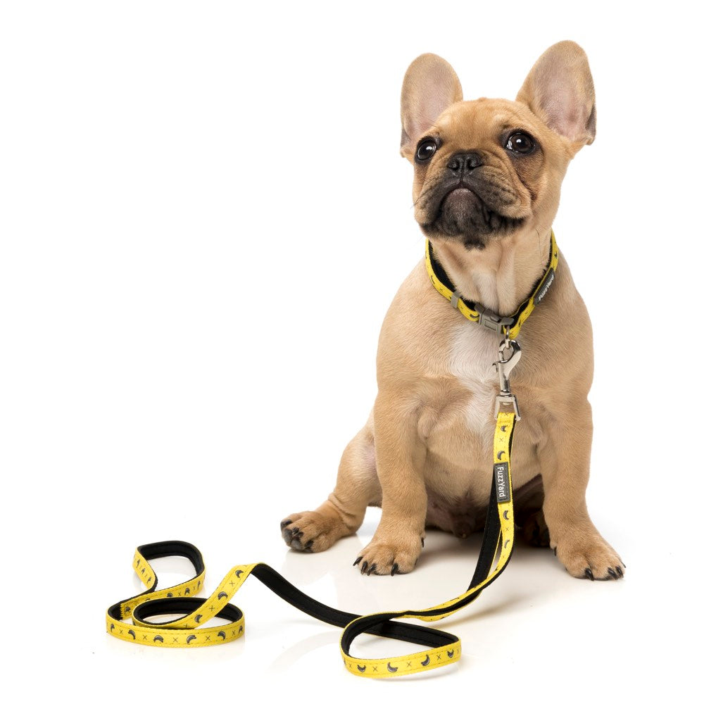 FuzzYard Dog Leash (Monkey Mania) | Kohepets
