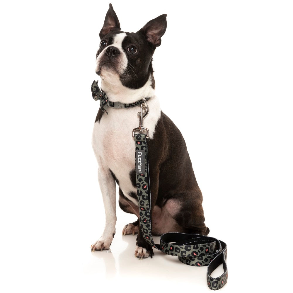 FuzzYard Dog Leash (Savanna) | Kohepets
