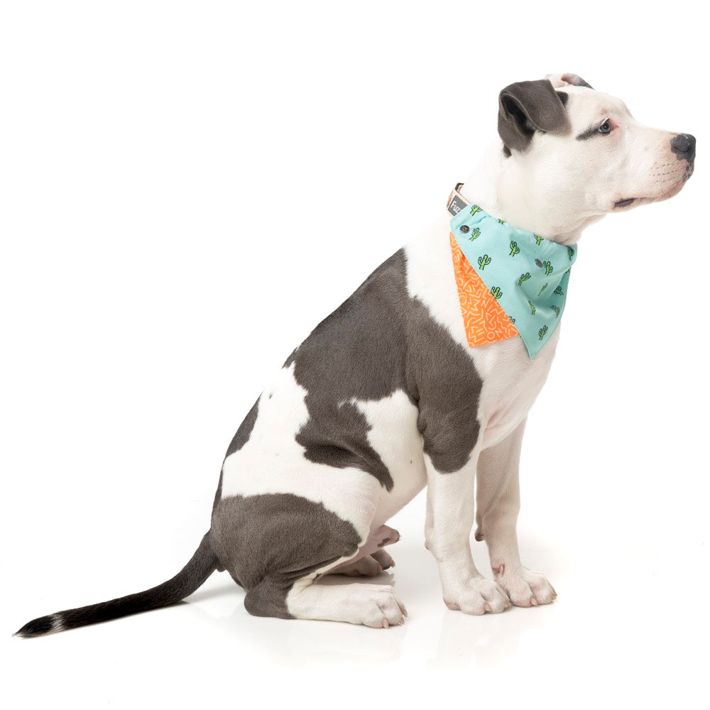 FuzzYard Pet Bandana (Tucson) | Kohepets