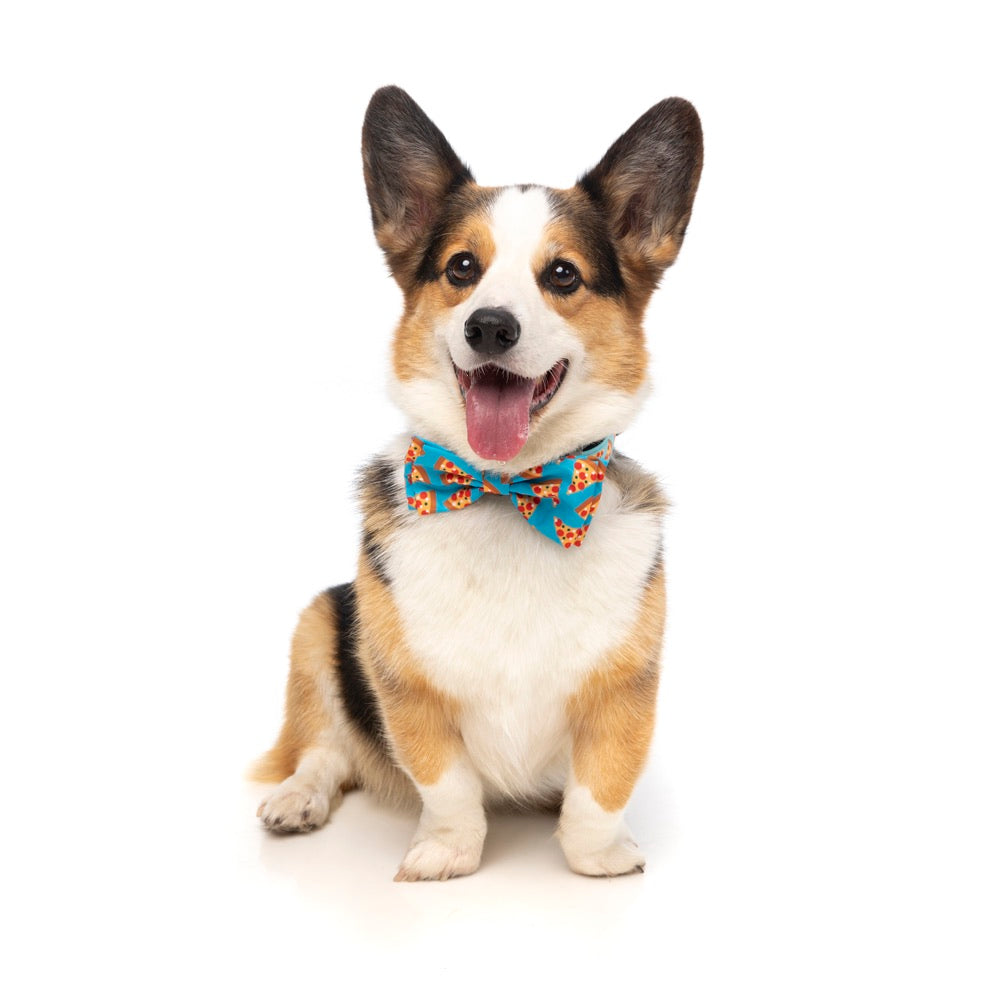 FuzzYard Pet Bow Tie (Pizza Lyf) | Kohepets