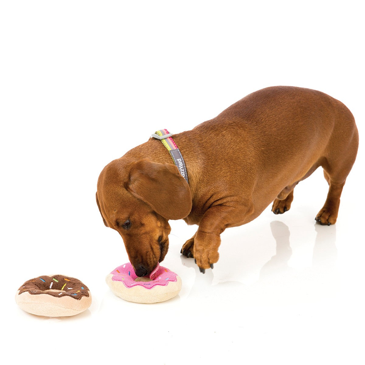 Fuzzyard Donut Plush Dog Toy (2pcs) | Kohepets