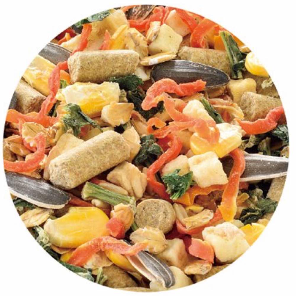 Gex Saishoku Kenbi 7 Ingredient Golden Hamster Mix Food 220g | Kohepets