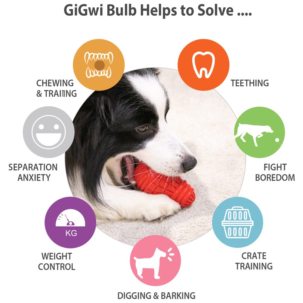 GiGwi Bulb Treat Dispenser Rubber Dog Toy (Medium) | Kohepets