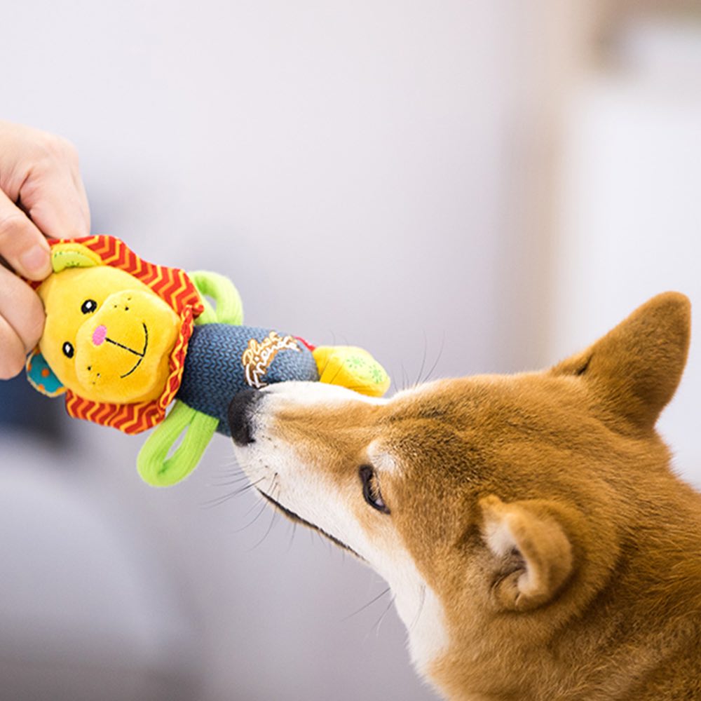 GiGwi Plush Friendz Tug Dog Toy (Lion) | Kohepets
