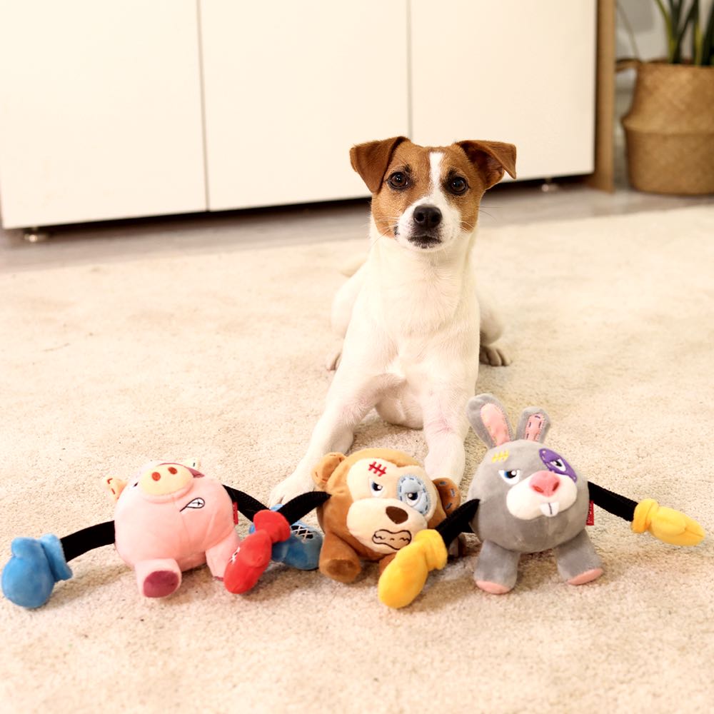 GiGwi Rock Zoo Bungee Plush Dog Toy (Monkey) | Kohepets