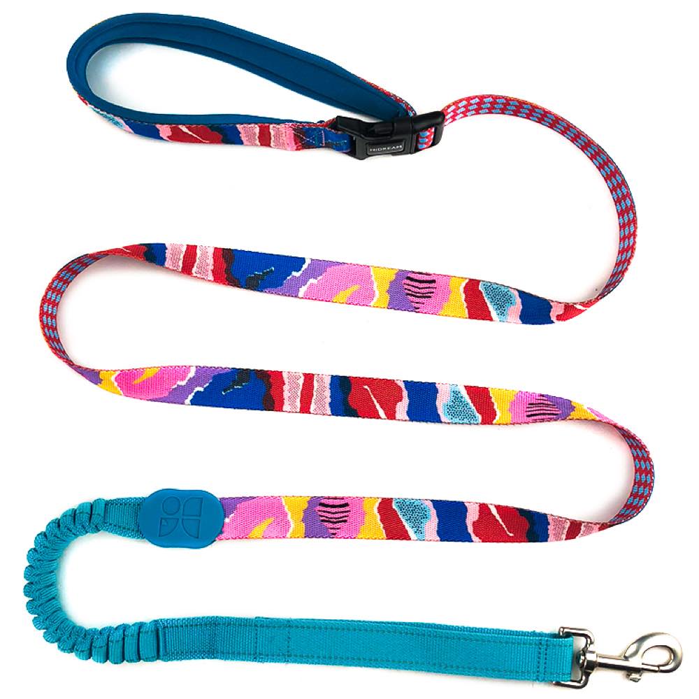 HiDREAM Profusion Multifunctional Dog Leash (Mountain Stamp) | Kohepets