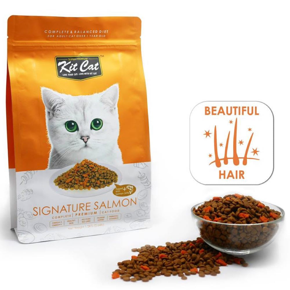 Kit Cat Signature Salmon Dry Cat Food 1.2kg | Kohepets