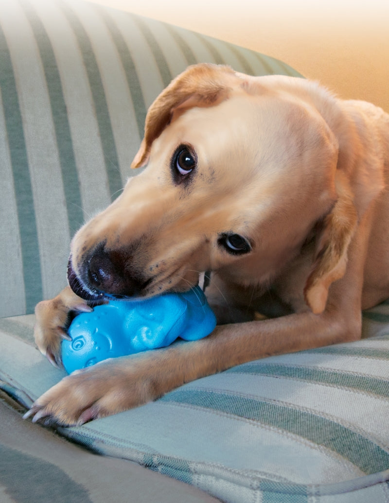 KONG Tuff 'N Lite Octopus Dog Toy Small | Kohepets