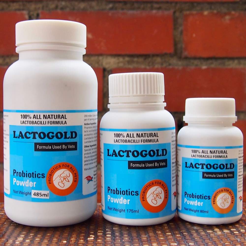 Lactogold Probiotic Powder Supplement | Kohepets