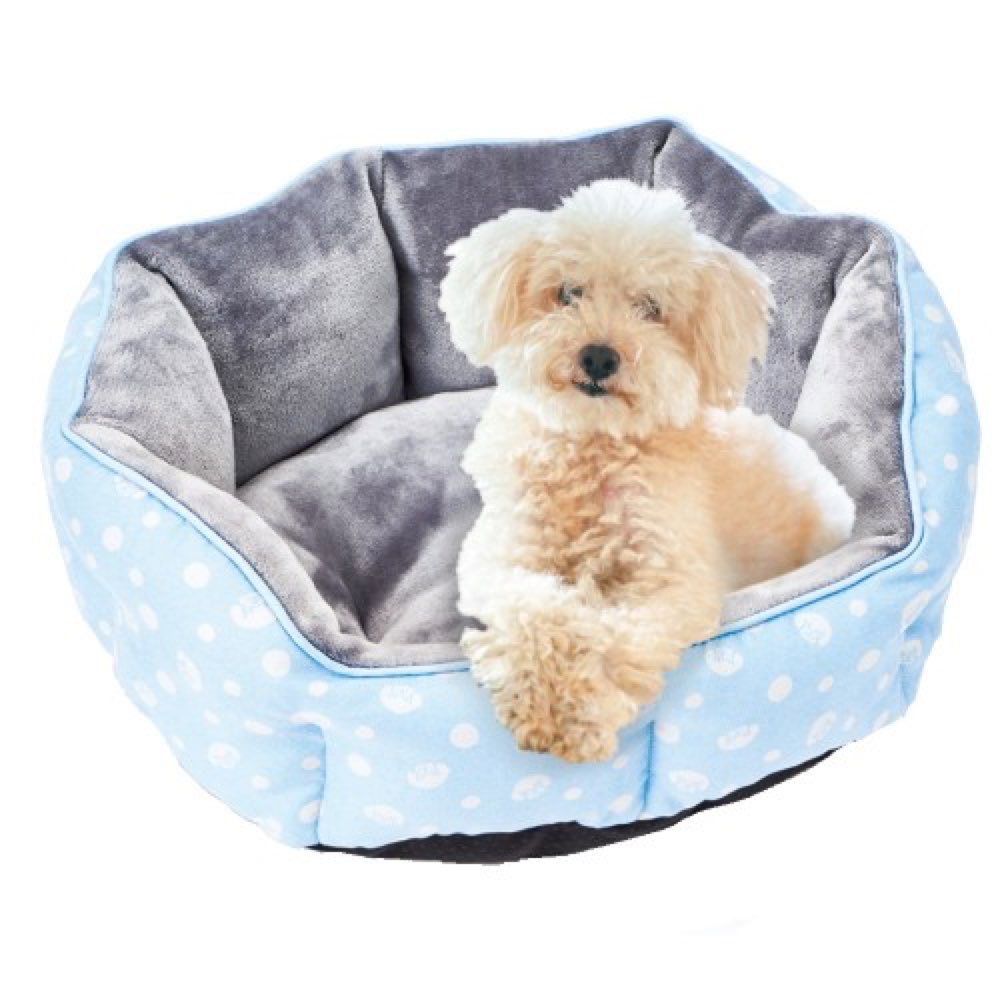 Marukan Blue Shell Dog Bed (Small) | Kohepets