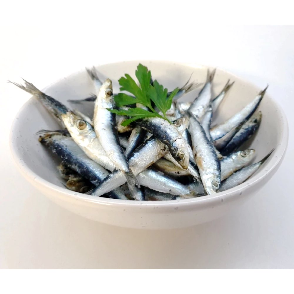 NatureDog Raw Pilchards Frozen Dog Food | Kohepets