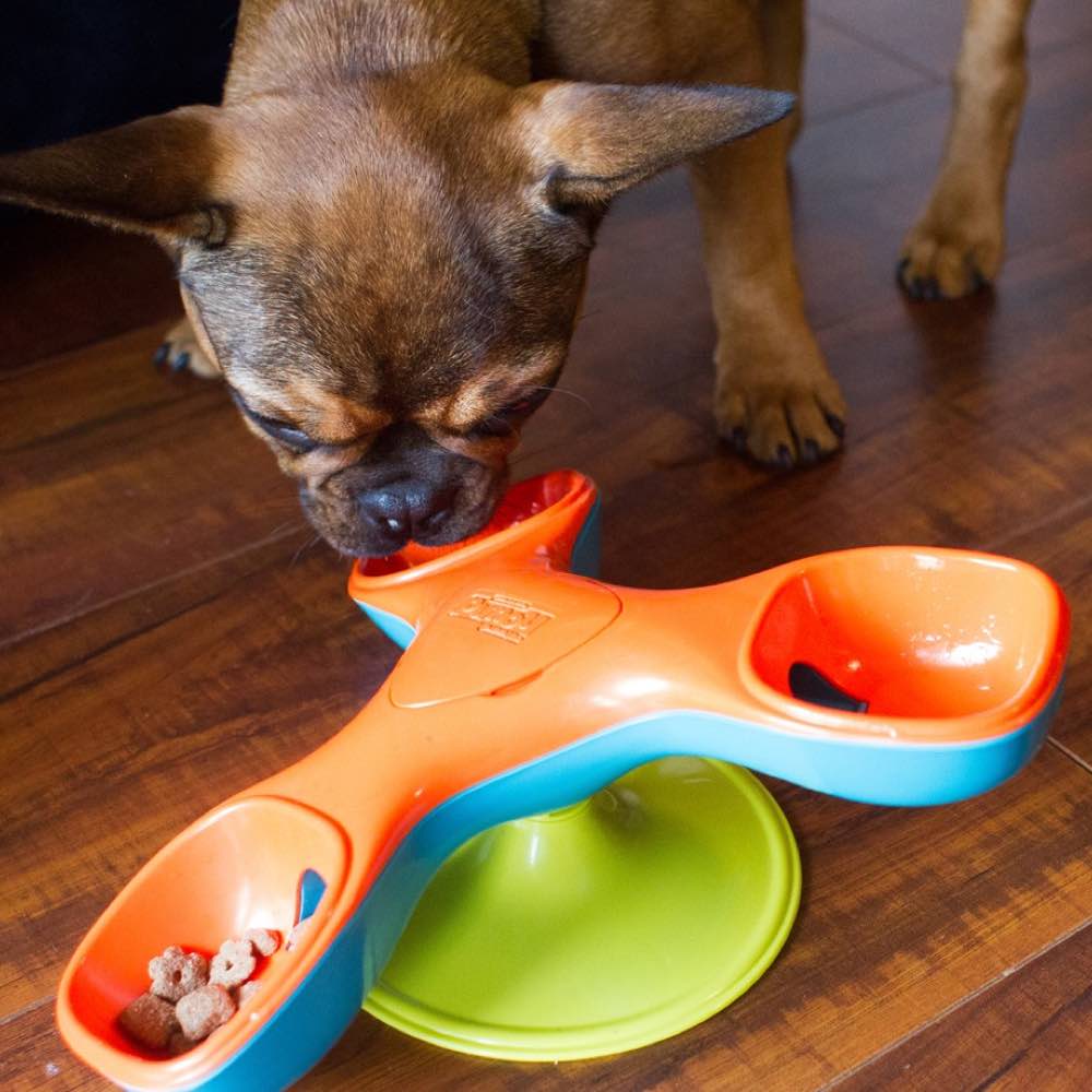 Outward Hound Triple Treater Totter Puzzle Dog Toy | Kohepets