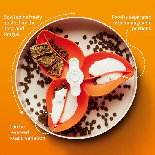 PetDreamHouse SPIN Interactive Slow Feeder For Cats & Dogs (Orange ...