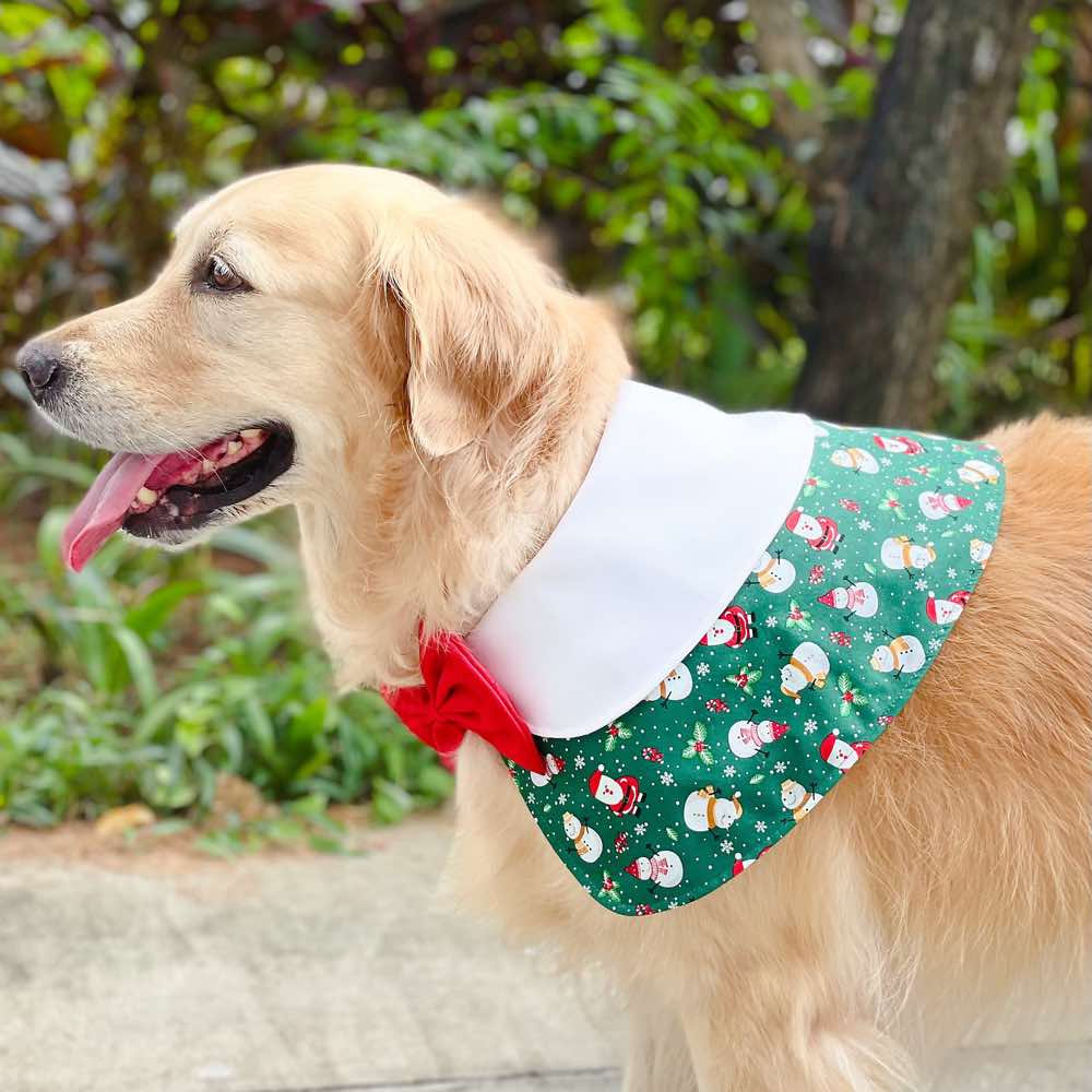 RuffCo Handcrafted Cape For Cats & Dogs (Green Snowman) | Kohepets