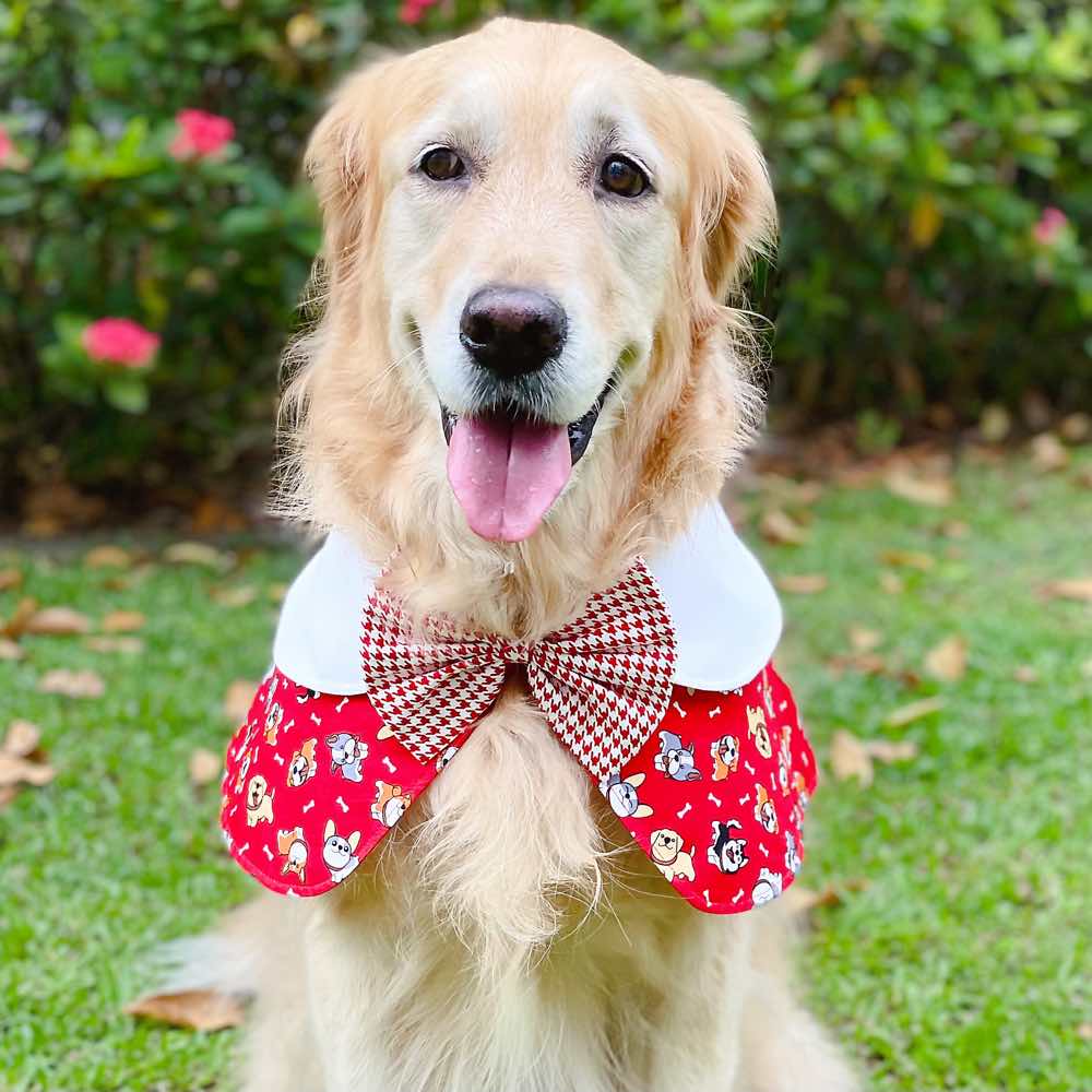 RuffCo Handcrafted Cape For Cats & Dogs (Red Puppies) | Kohepets