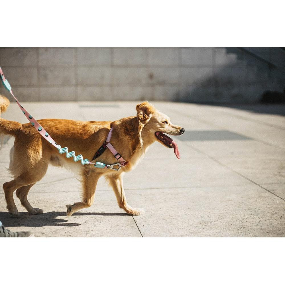 Zee.Dog Blink Soft-Walk Dog Harness | Kohepets